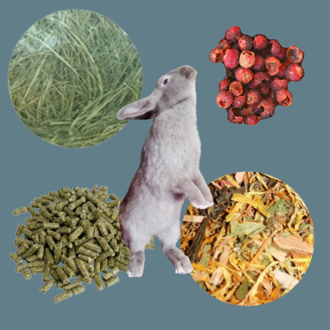 Food, Treats & Hay – That Bunny Farm